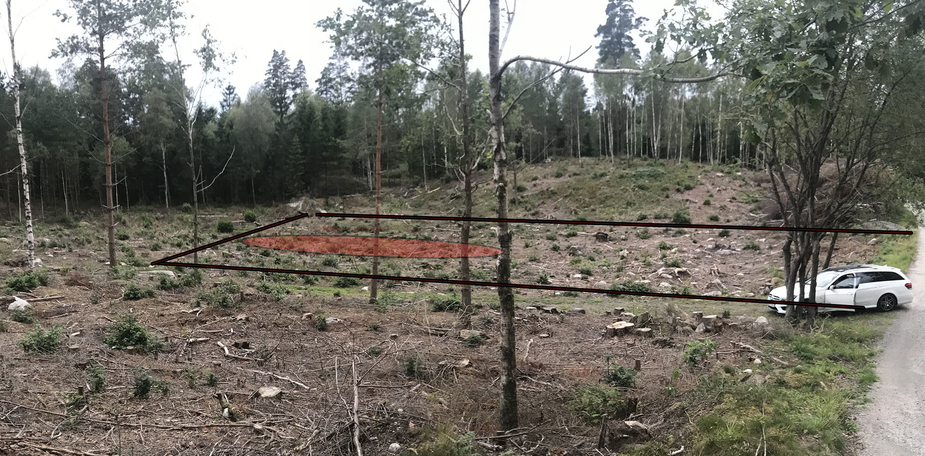 Värdeminskning på hus efter kalhygge? | Byggahus.se