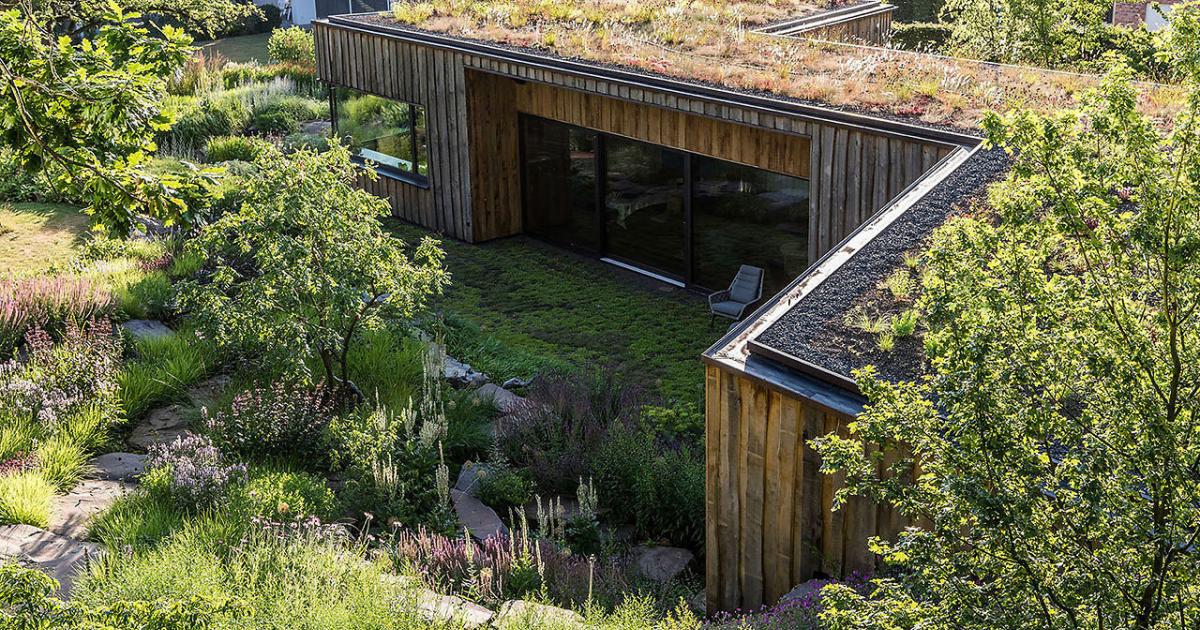 Lägga sedumtak steg för steg | Byggahus.se