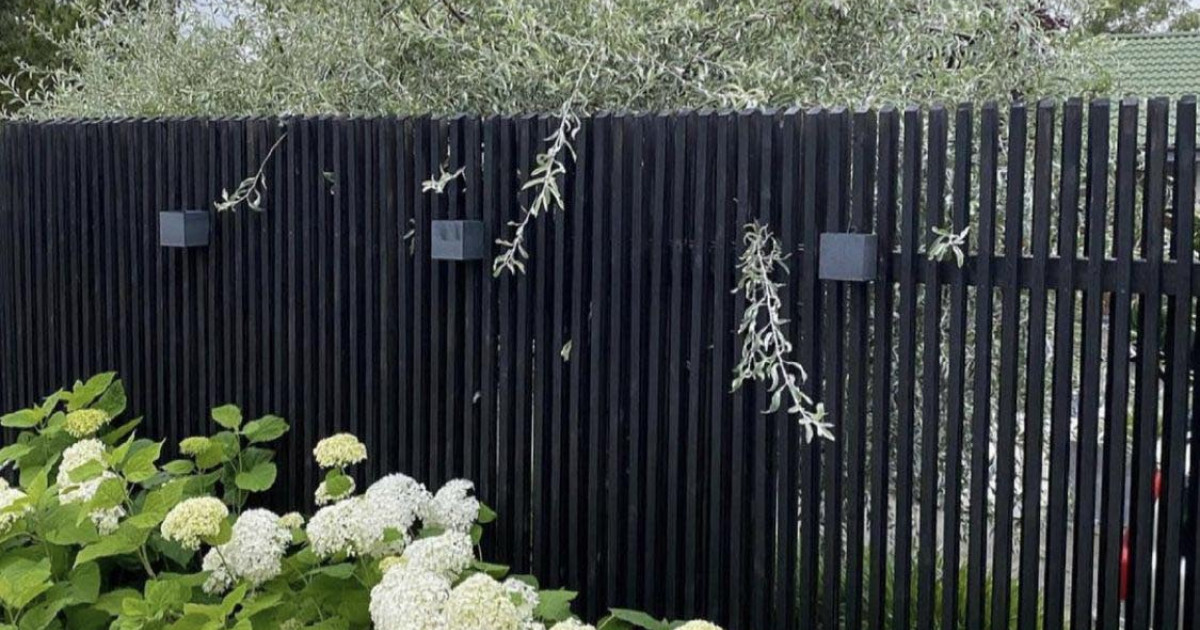 Insynsskydd i trädgården – guide med 9 fina alternativ | Byggahus.se