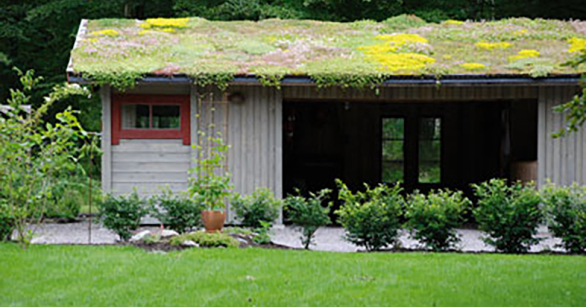 Sedumtak | Byggahus.se