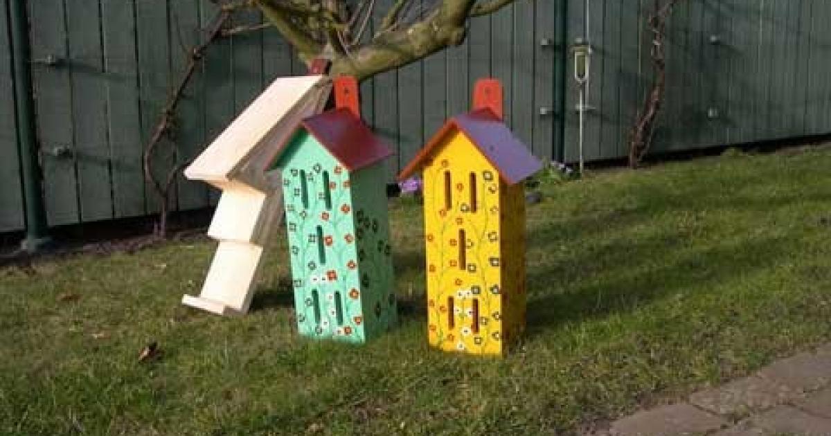 Bygg bo till djur och insekter | Byggahus.se