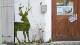 Tomt & Trädgård | Byggahus.se